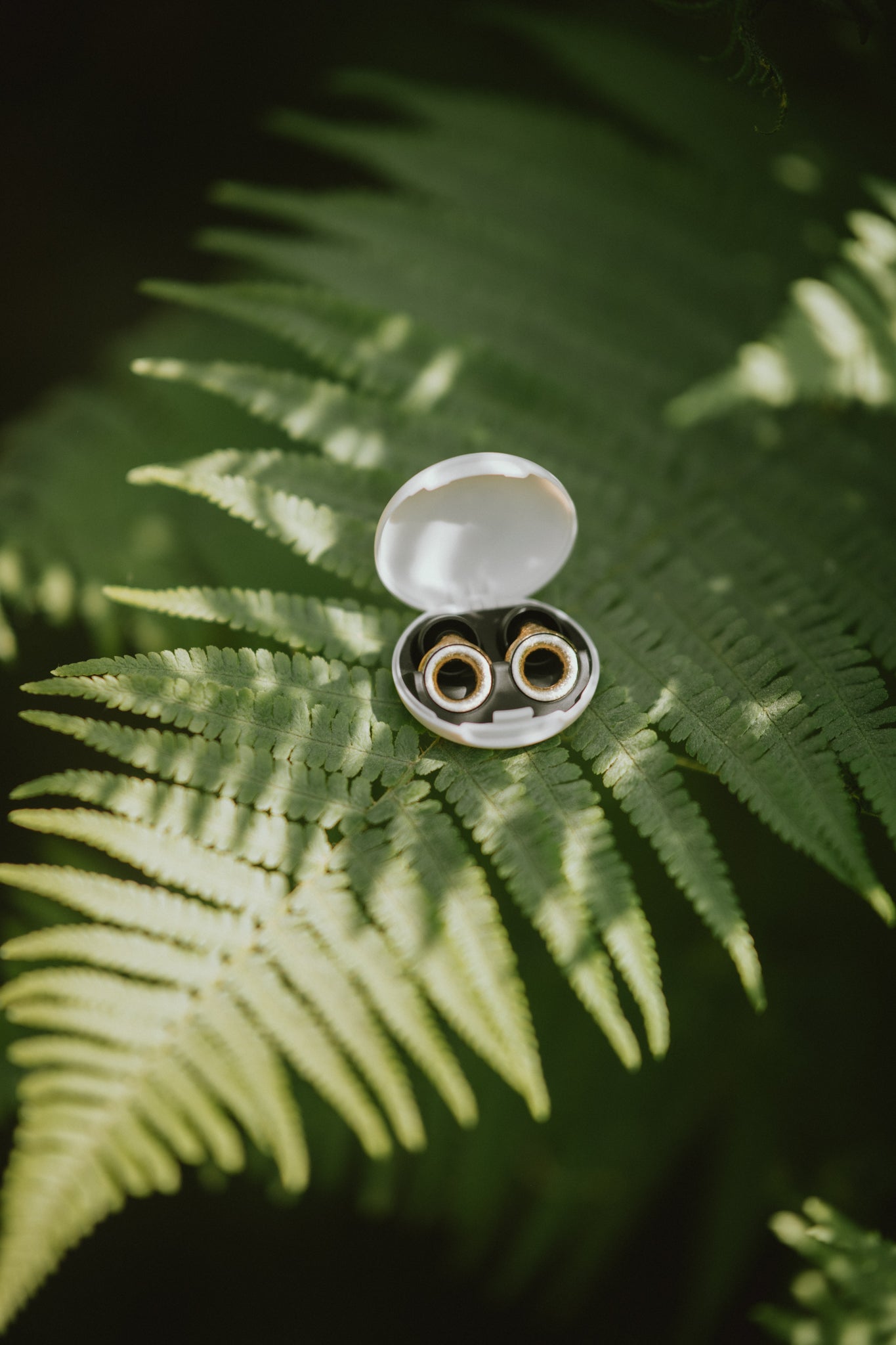 buy retailers Tomorrowland x Loop Experience Earplugs Gold (limited ...