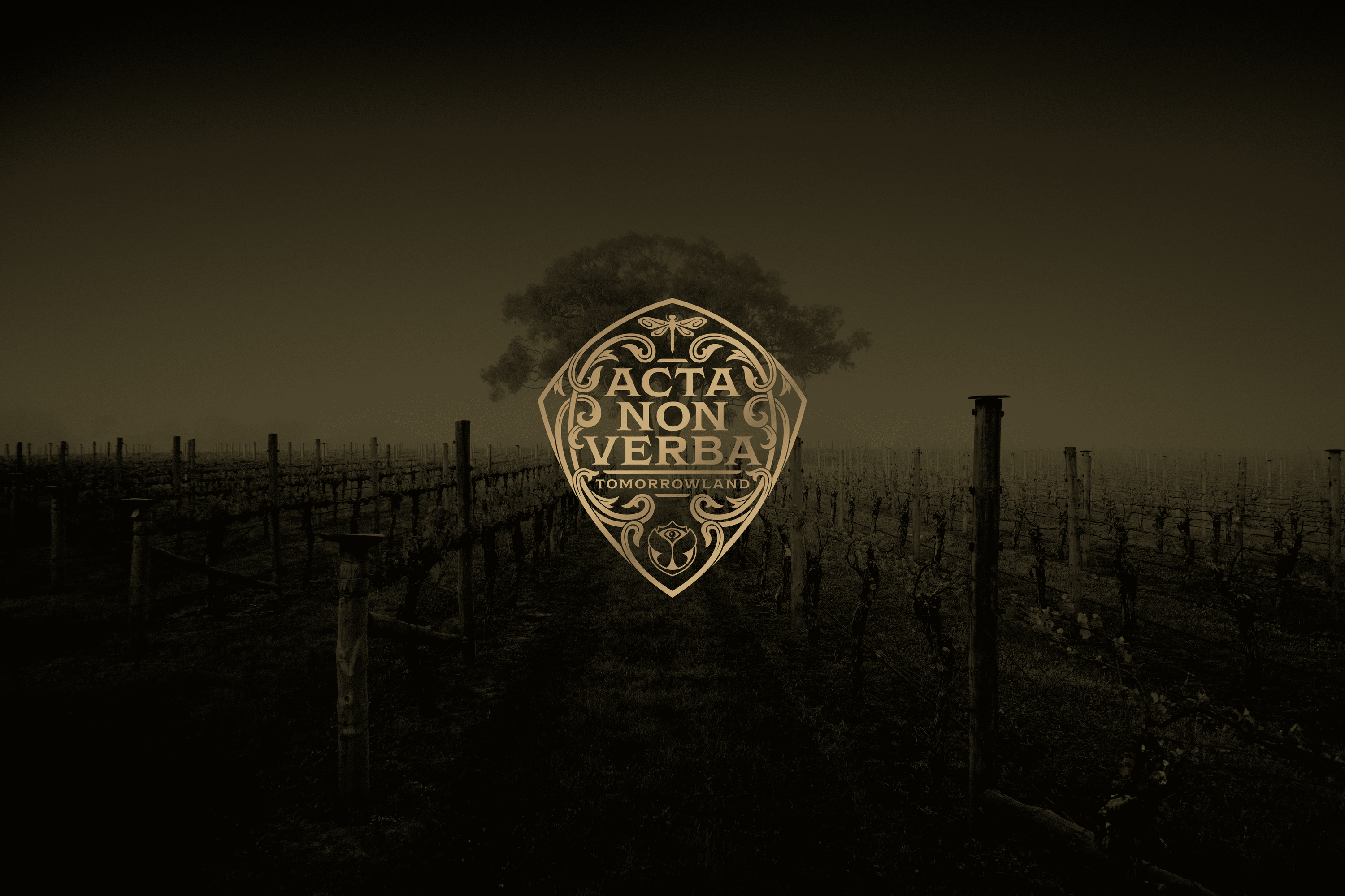 Tomorrowland Wines – Tomorrowland Store
