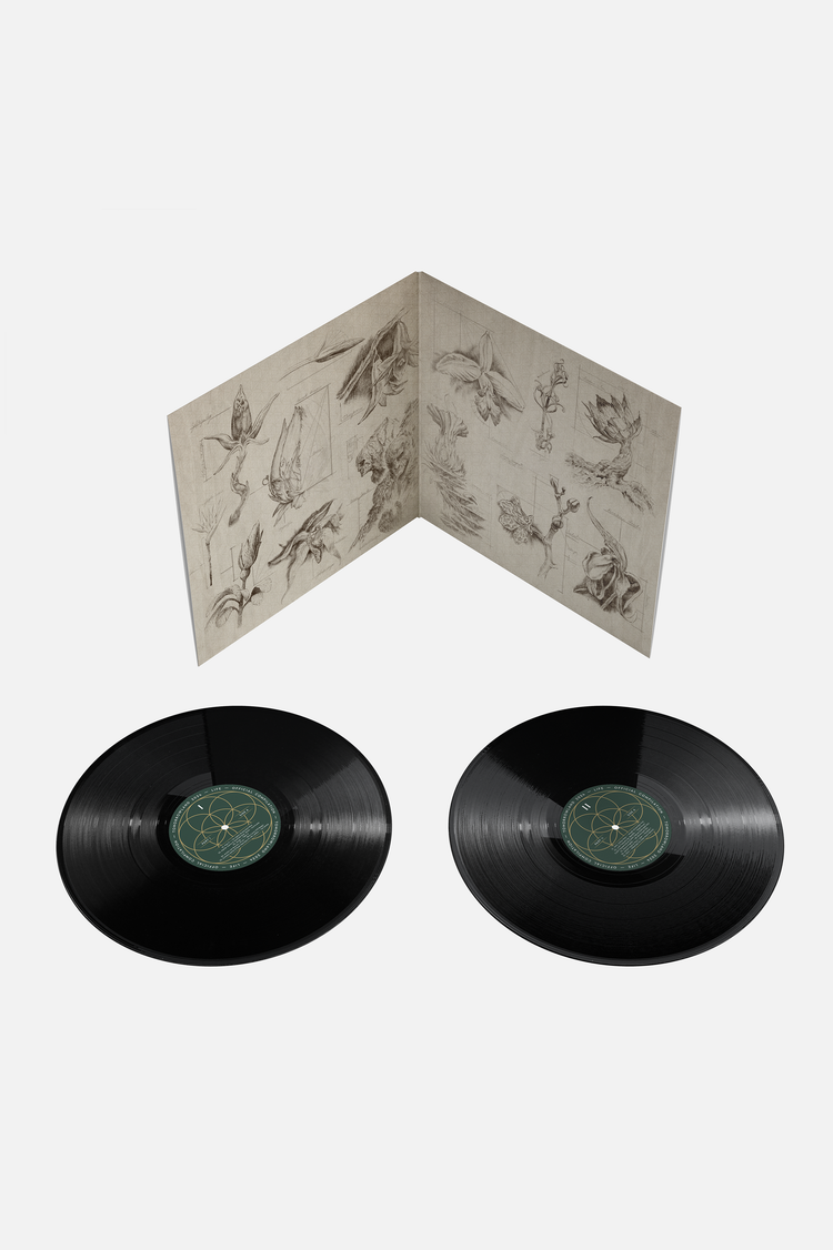Shop Vinyl - Tomorrowland Store